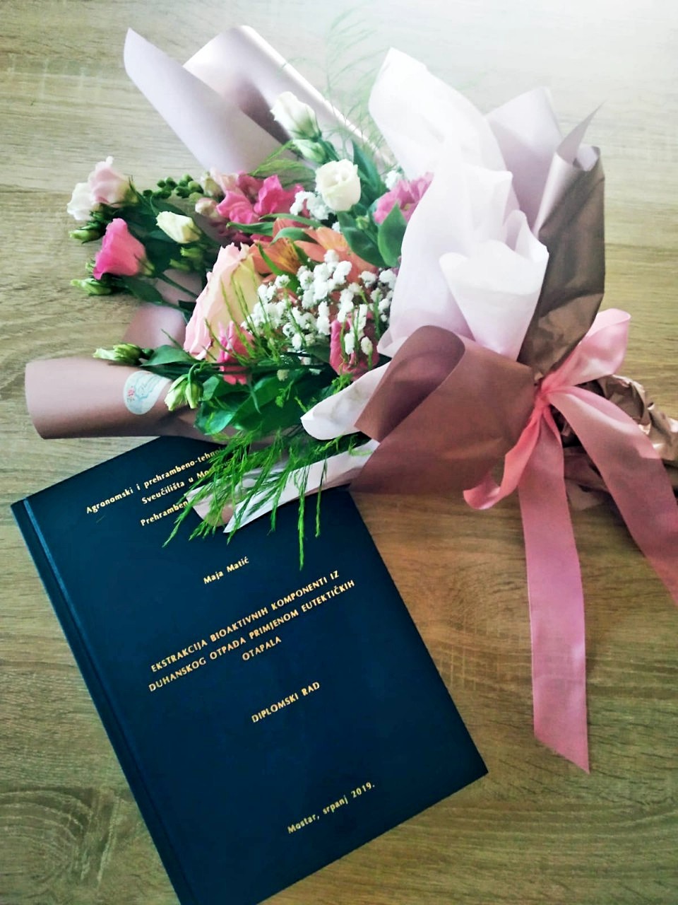 Obranjen diplomski rad na projektu - ByProExtract